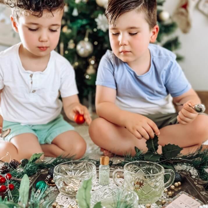 Festive Christmas Elf Fizz - Magic Potion Dust – The Toy Chest Australia